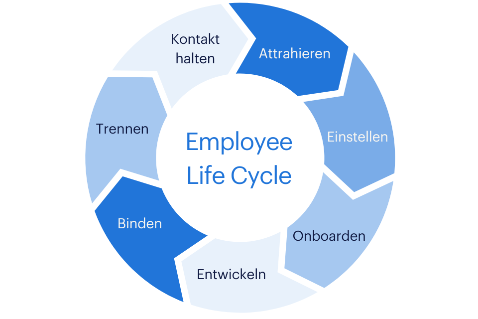 Employee Life Cycle: Mitarbeiterlebenszyklus | Randstad